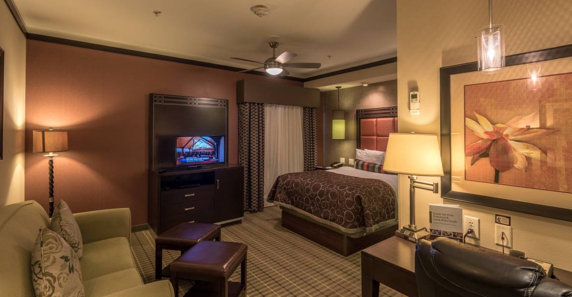Studio Flat ∙ 1 Bedroom ∙ 2 Guests - Dallas/Fort Worth Airport (DFW)