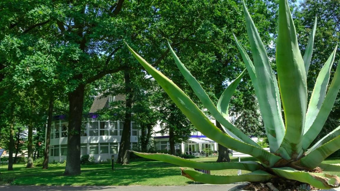 Hotel ∙ 1 Guest - Bad Wilsnack