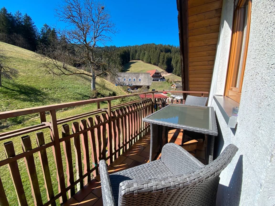 40 M² Ferienwohnung ∙ 1 Schlafzimmer ∙ 3 Gäste - Bad Peterstal-Griesbach