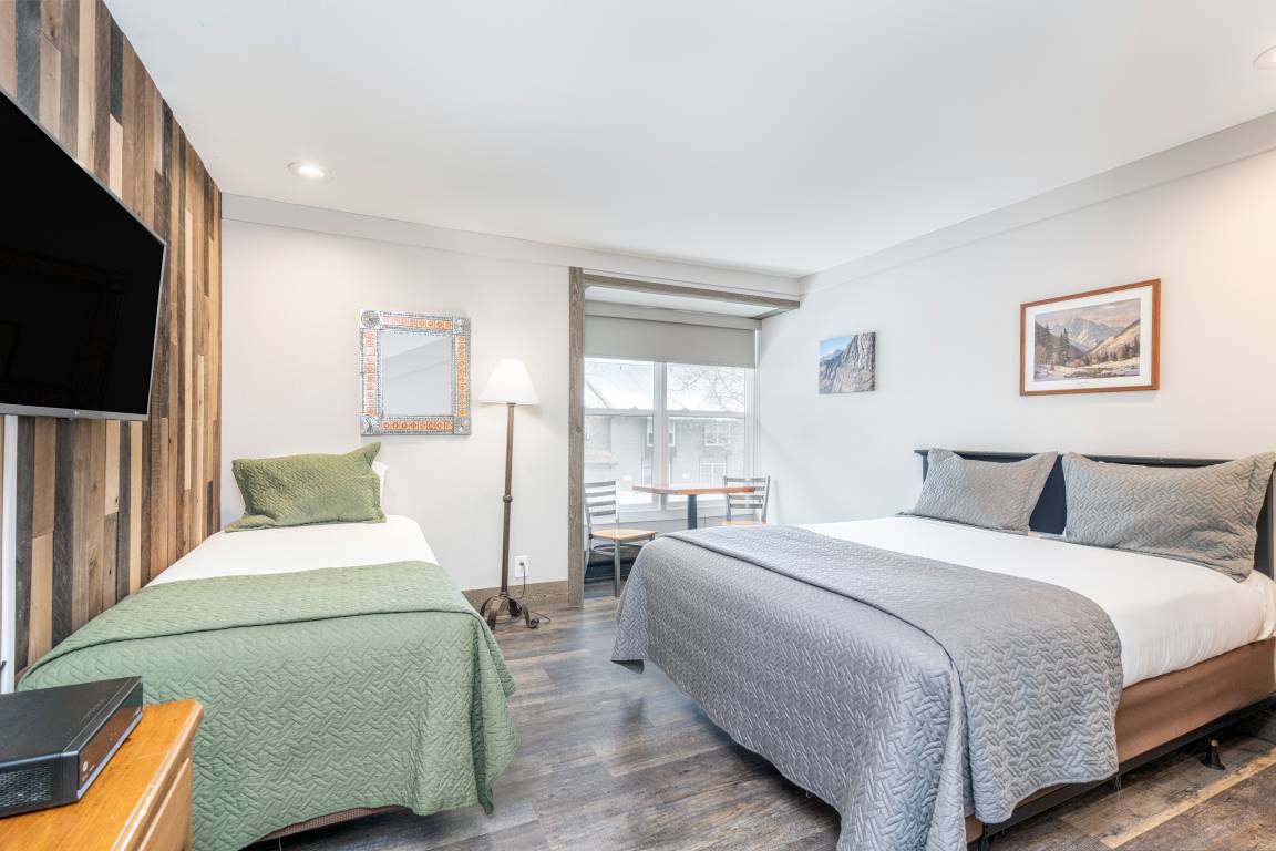 25 M² Hôtel ∙ 1 Chambre ∙ 3 Personnes - Telluride, CO