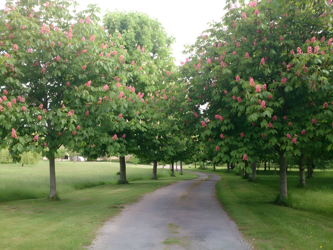 50 M² Appartement ∙ 1 Chambre ∙ 2 Personnes - Falaise