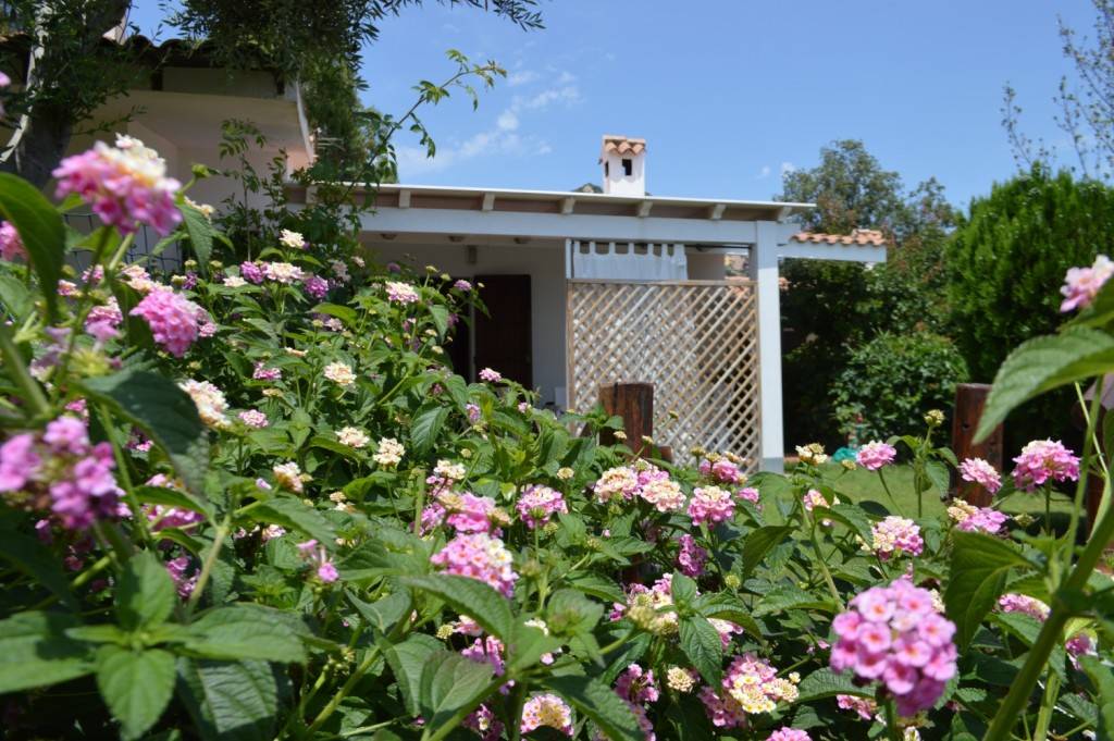 50 M² Apartment ∙ 2 Bedrooms ∙ 6 Guests - Costa Rei