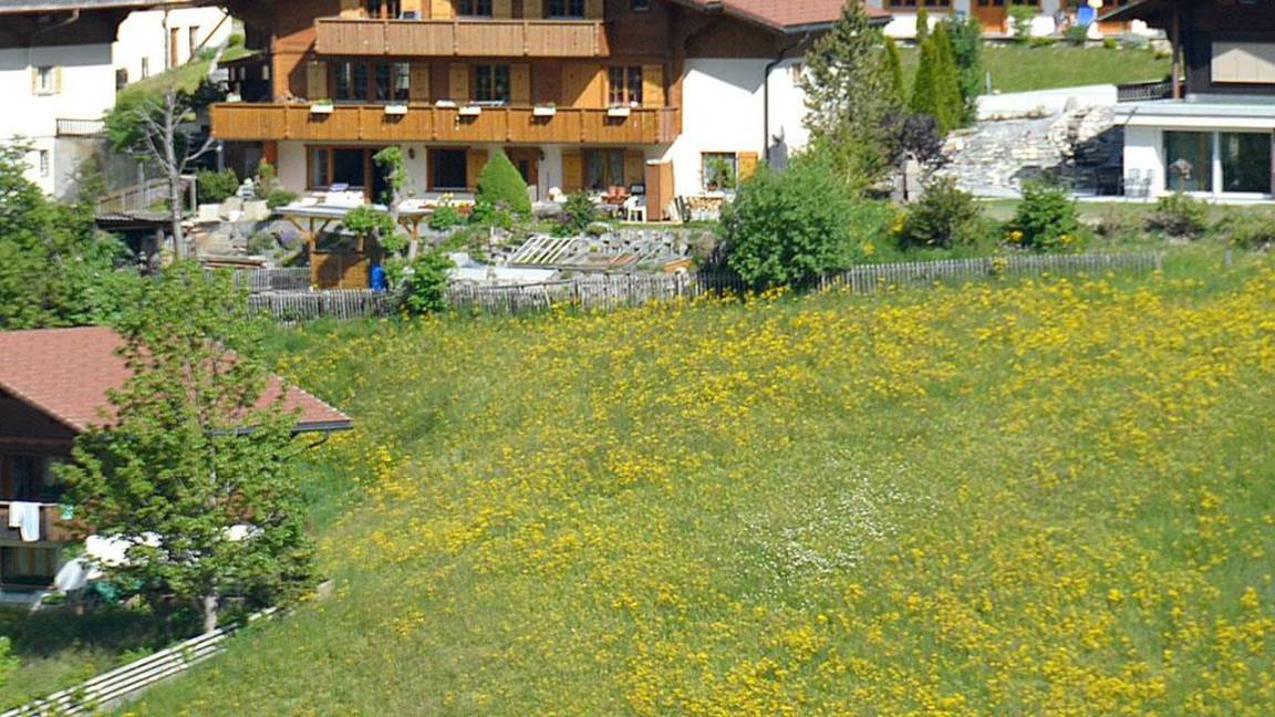 28 M² Apartment ∙ 1 Bedroom ∙ 3 Guests - Adelboden