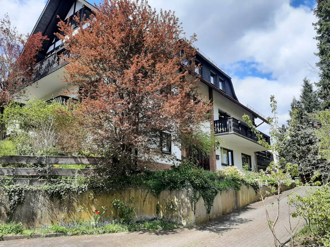 60 M² Ferienwohnung ∙ 2 Schlafzimmer ∙ 4 Gäste - Frankenberg (Eder)