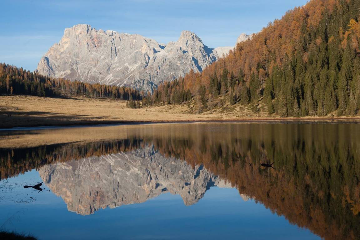 80 M² Apartment ∙ 2 Bedrooms ∙ 4 Guests - San Martino di Castrozza