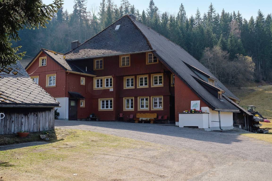 213 M² Ferienwohnung ∙ 8 Schlafzimmer ∙ 14 Gäste - Hinterzarten