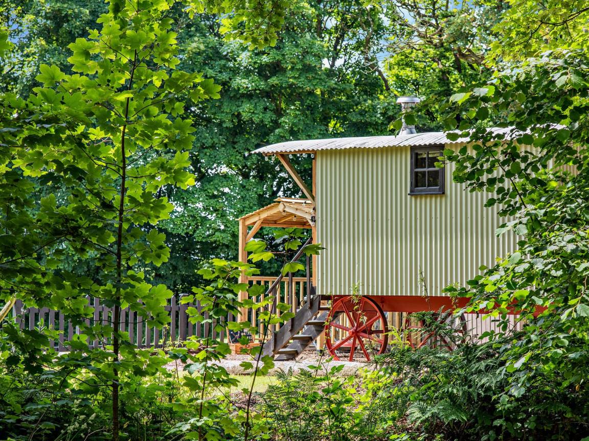 Cottage ∙ 1 Bedroom ∙ 2 Guests - Clovelly