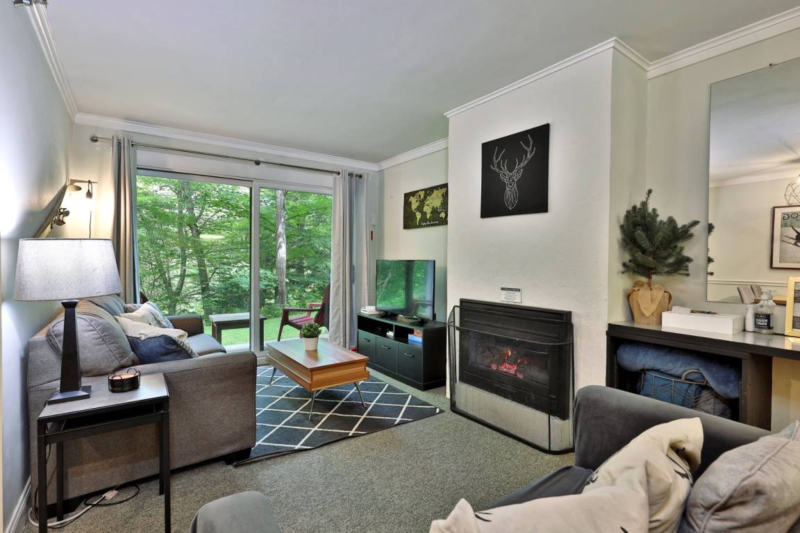 Condo ∙ 1 Bedroom ∙ 4 Guests - Vermont