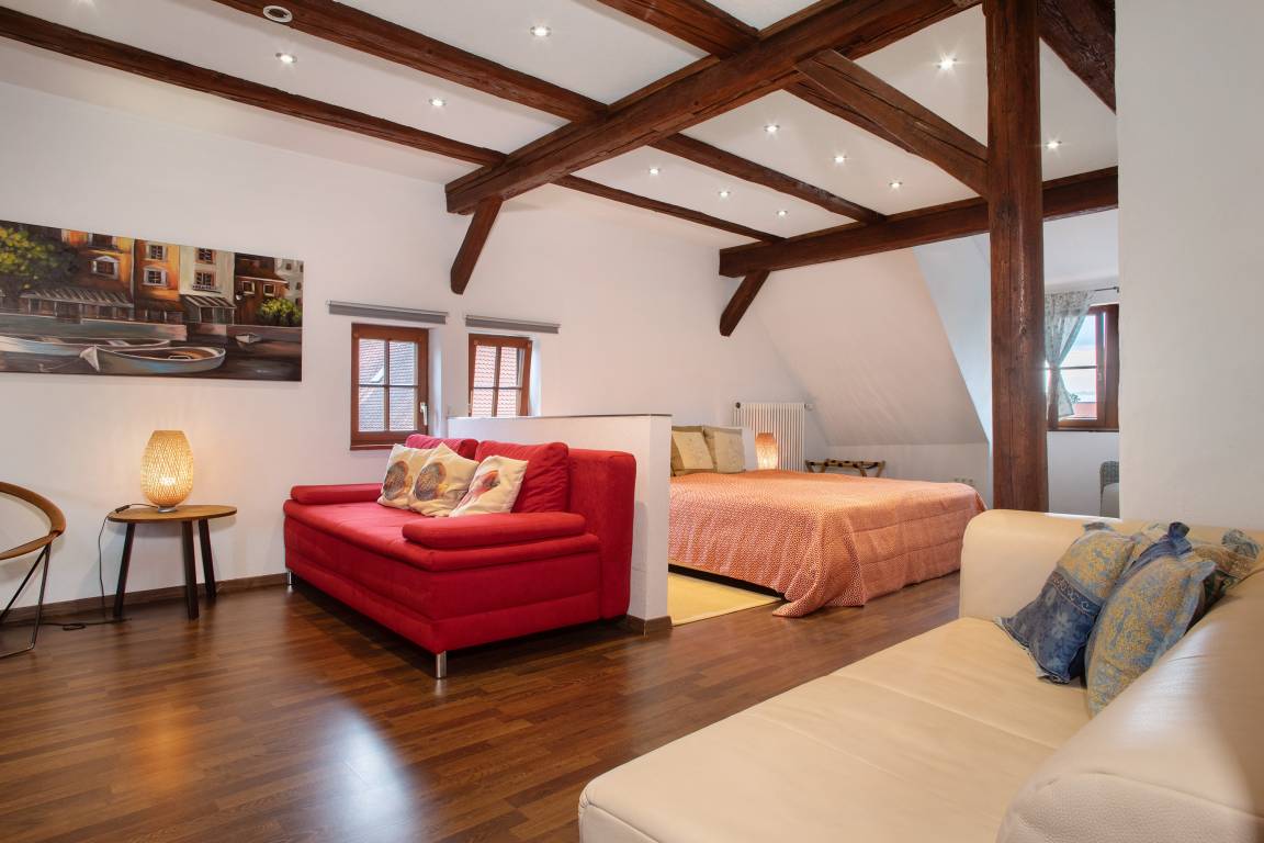 66 M² Monolocale ∙ 1 Camera Da Letto ∙ 4 Ospiti - Meersburg