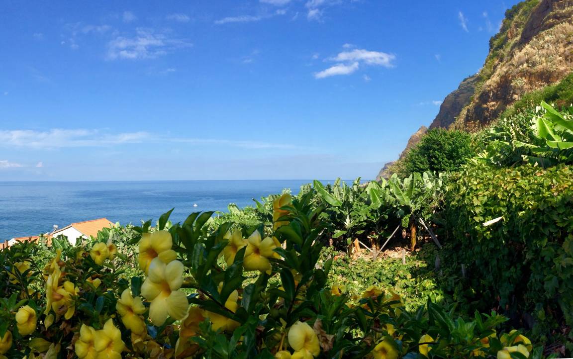 100 M² Maison De Vacances ∙ 2 Chambres ∙ 4 Personnes - Paul do Mar