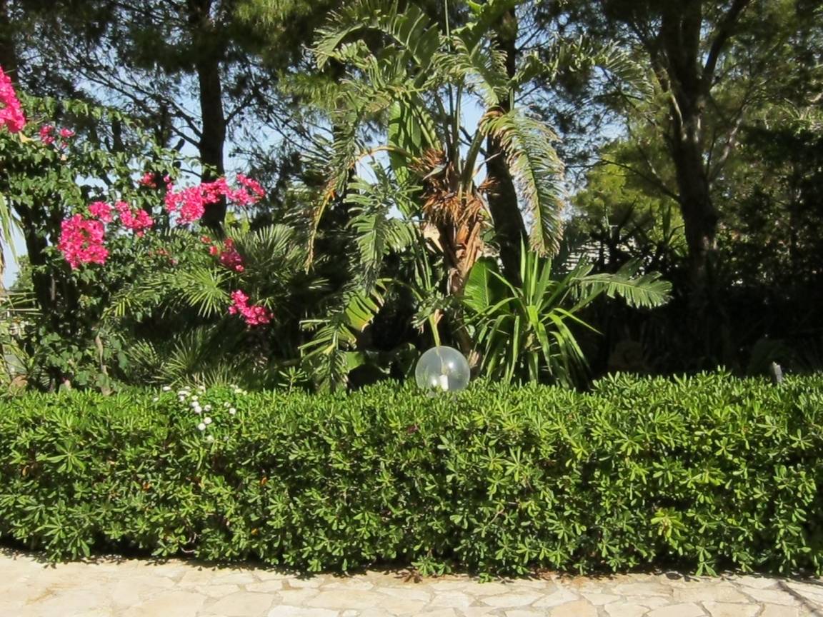 40 M² Casa ∙ 1 Habitación ∙ 4 Huéspedes - Custonaci