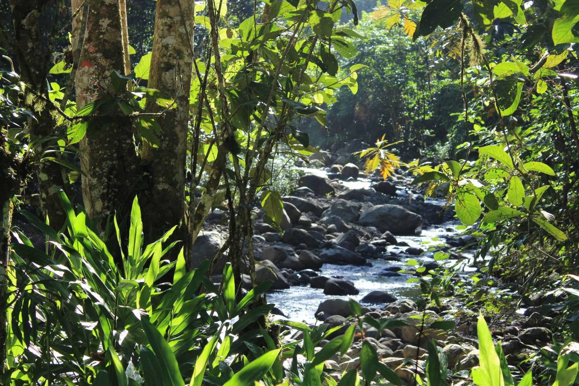 64 M² Casa ∙ 2 Habitaciones ∙ 4 Huéspedes - Jiménez