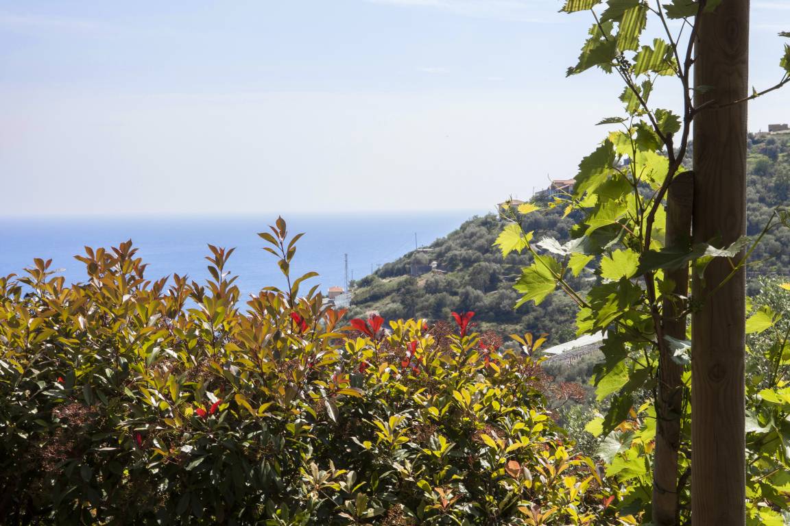 45 M² Agriturismo ∙ 1 Camera Da Letto ∙ 3 Ospiti - San Bartolomeo al Mare