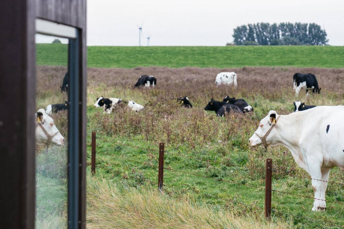 18 M² Huis ∙ 1 Slaapkamer ∙ 4 Gasten - Spiekeroog