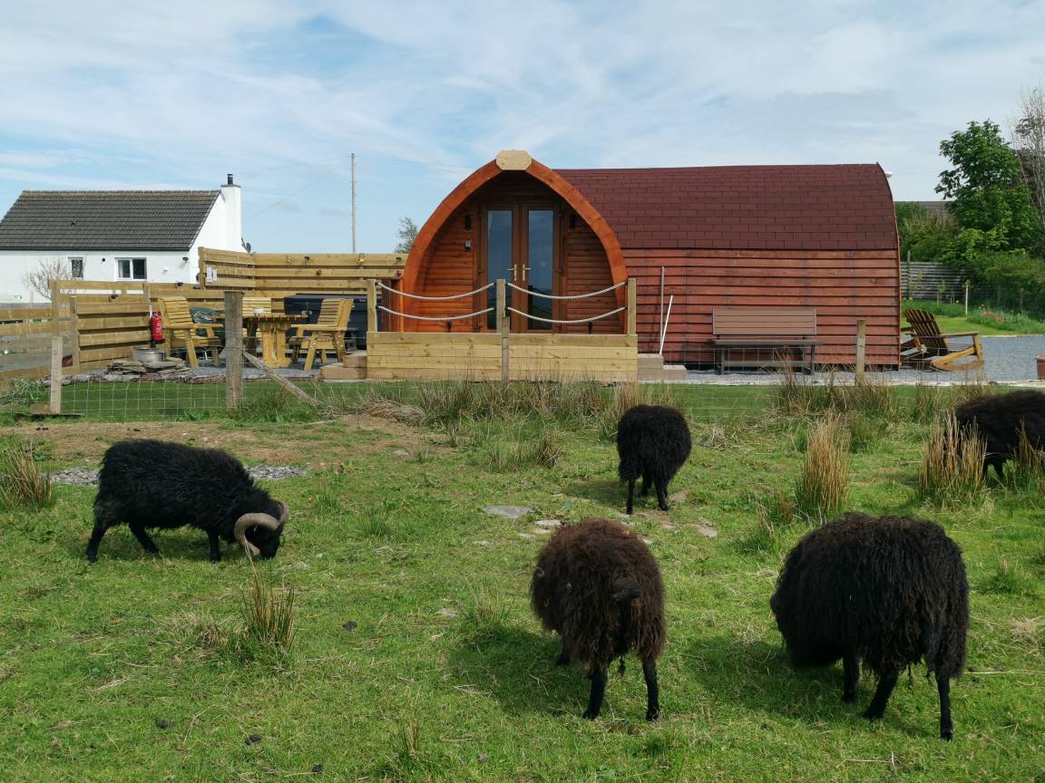 55 M² Cabaña ∙ 1 Habitación ∙ 2 Huéspedes - Escocia