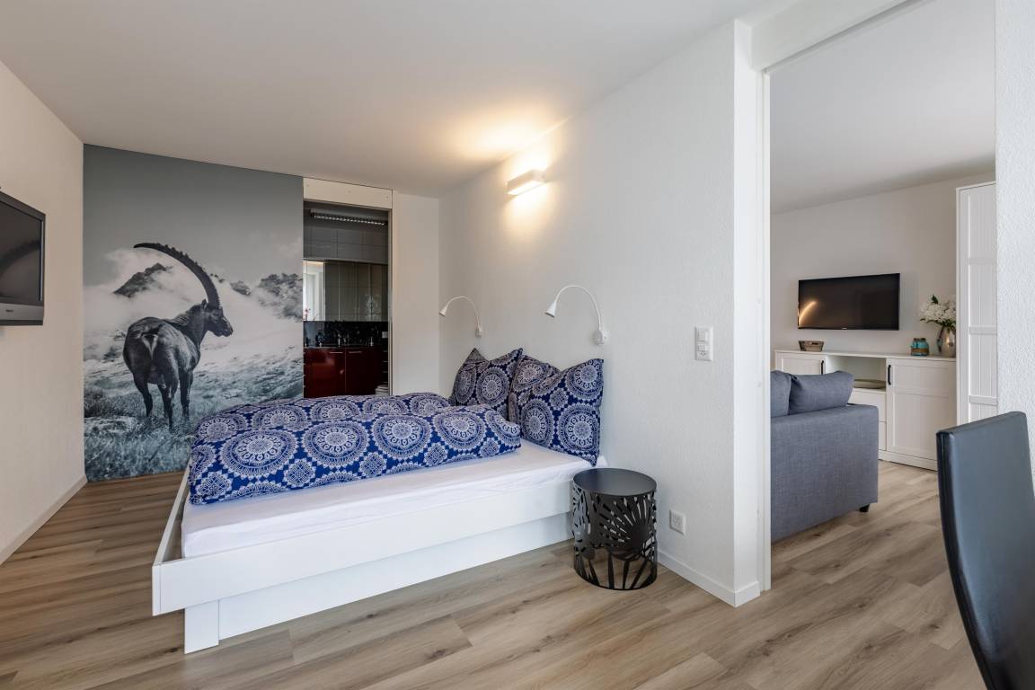 44 M² Apartment ∙ 1 Bedroom ∙ 2 Guests - Arosa