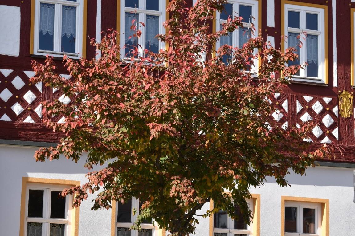 85 M² Ferienwohnung ∙ 2 Schlafzimmer ∙ 6 Gäste - Bad Rodach