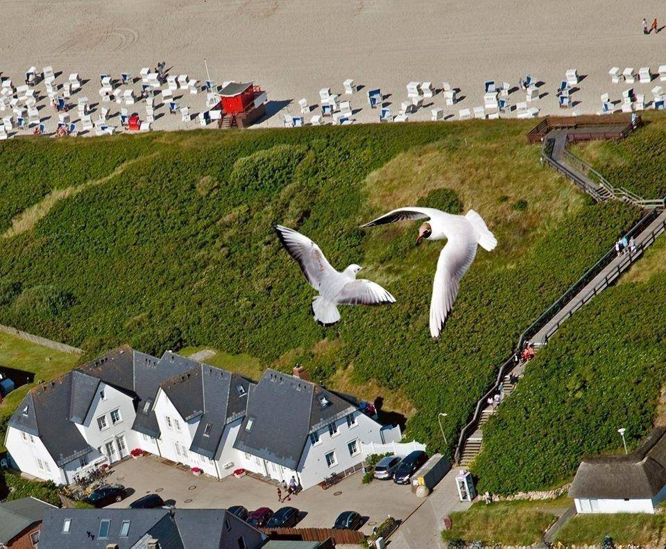 50 M² Ferienwohnung ∙ 2 Gäste - Kampen (Sylt)