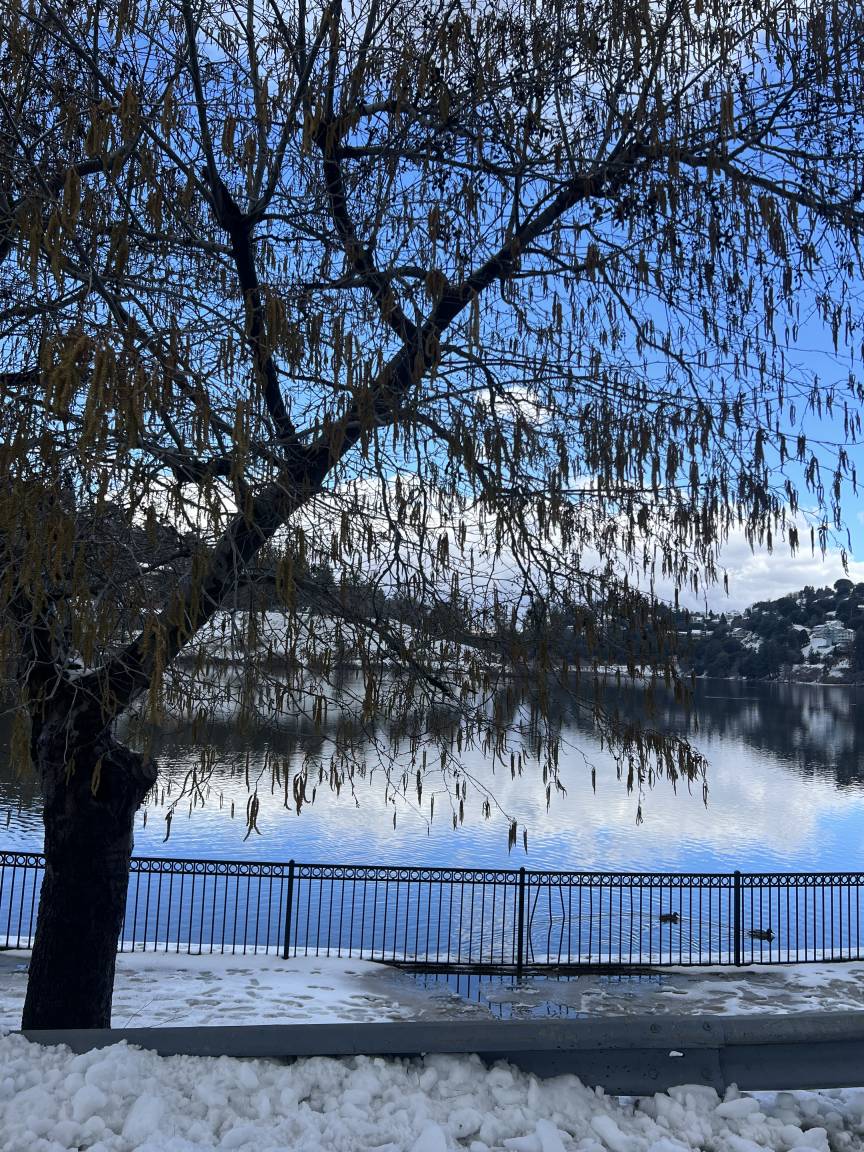 Cabin ∙ 4 Bedrooms ∙ 10 Guests - Crestline, CA