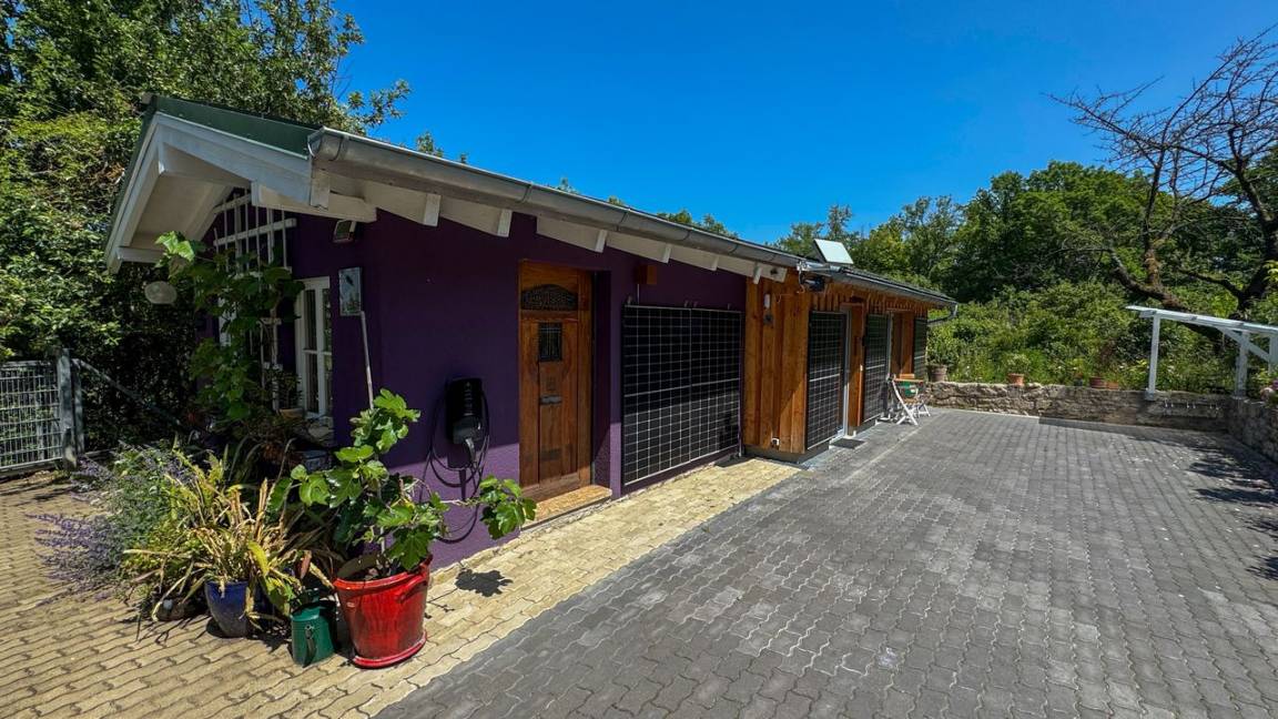 55 M² Apartament ∙ 4 Gości - Weimar