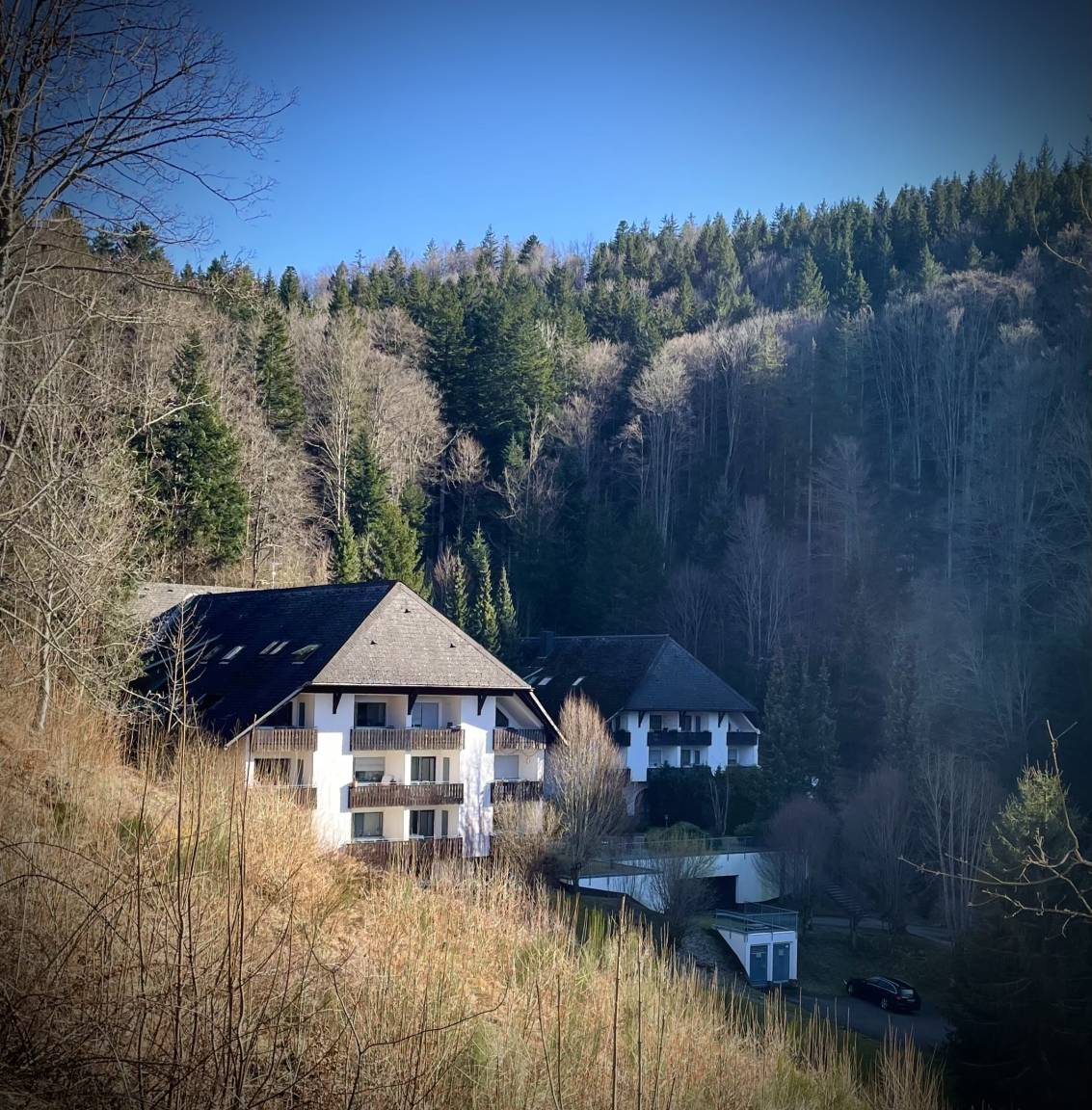 37 M² Apartment ∙ 1 Bedroom ∙ 3 Guests - Triberg