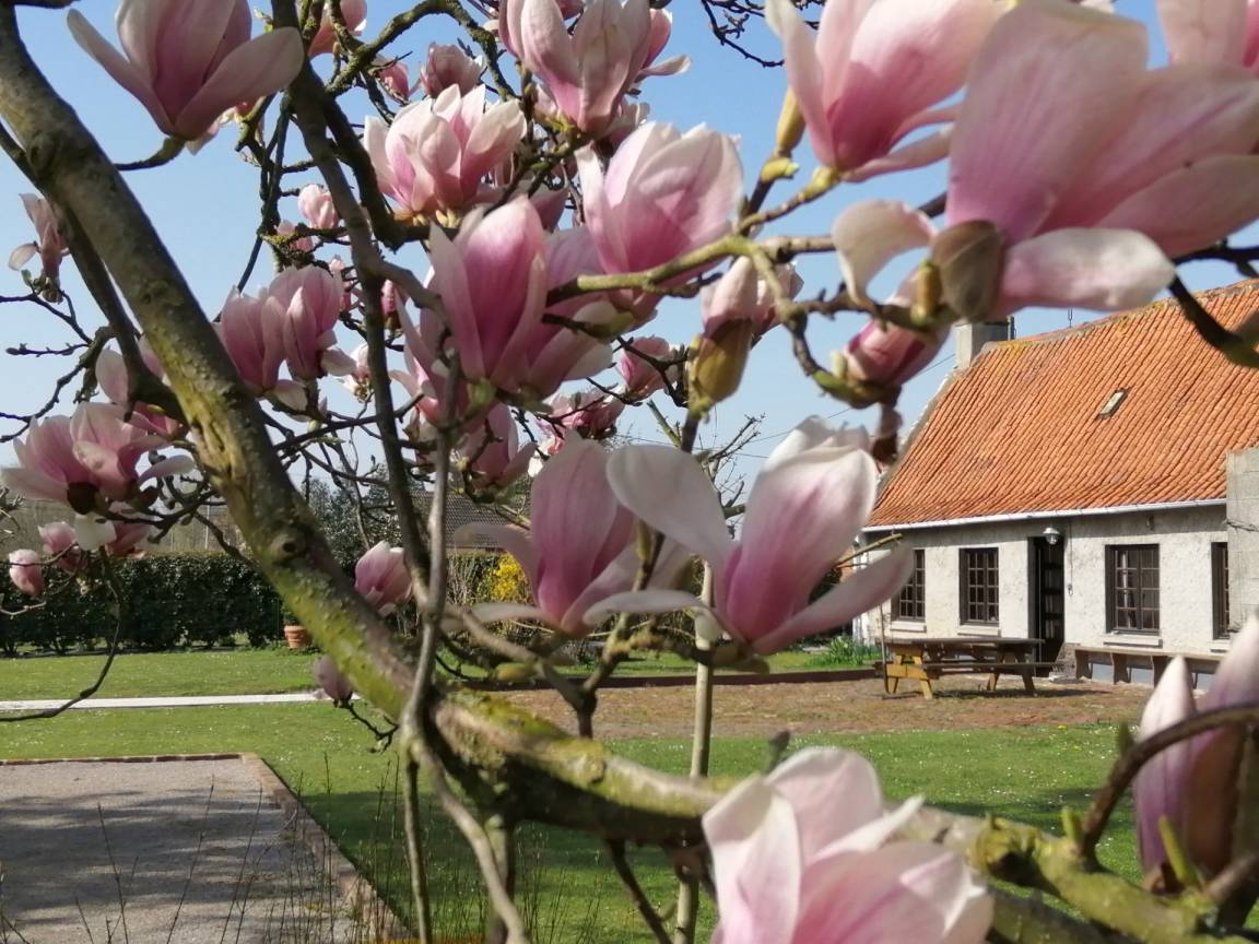 130 M² Maison De Vacances ∙ 2 Chambres ∙ 6 Personnes - Éperlecques