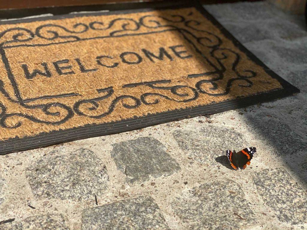 50 M² Ferienwohnung ∙ 1 Schlafzimmer ∙ 5 Gäste - Neustrelitz