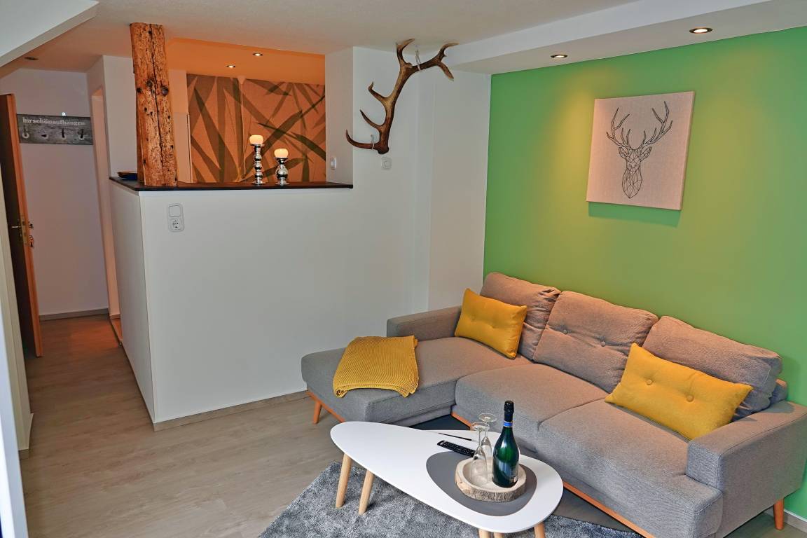 55 M² Ferienwohnung ∙ 1 Schlafzimmer ∙ 2 Gäste - Walkenried