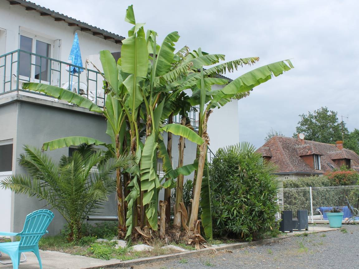 70 M² Appartement ∙ 2 Chambres ∙ 5 Personnes - La Roche-Posay