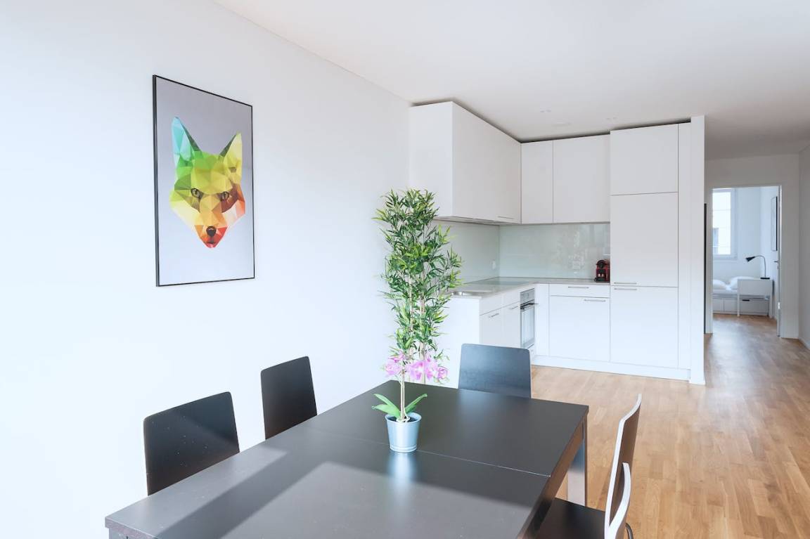 56 M² Appartement ∙ 1 Chambre ∙ 6 Personnes - Bâle