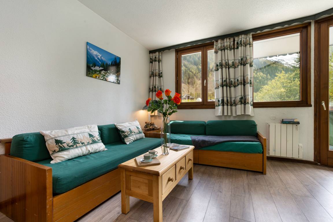 31 M² Apartment ∙ 1 Bedroom ∙ 4 Guests - Chamonix-Mont-Blanc