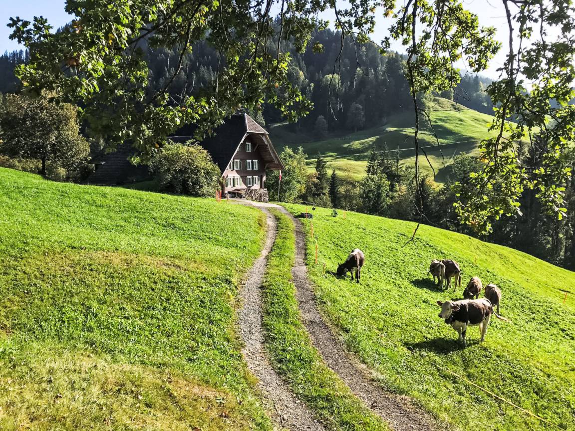 160 M² House ∙ 5 Bedrooms ∙ 11 Guests - Brienz