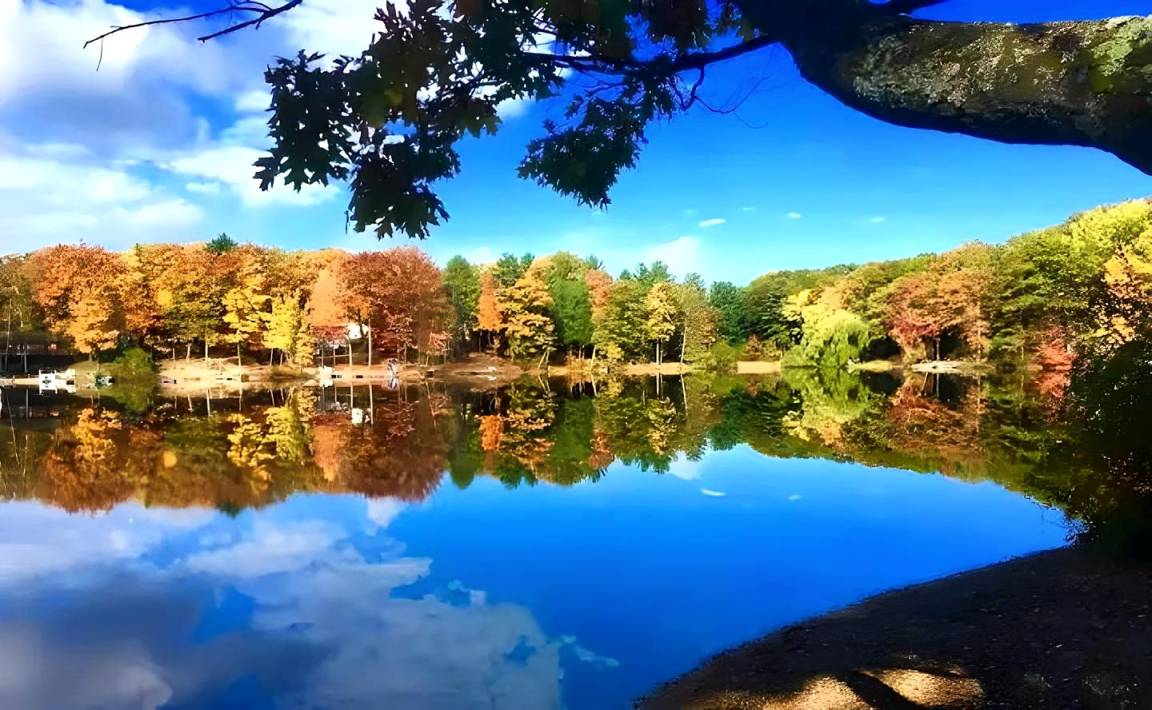 House ∙ 4 Bedrooms ∙ 8 Guests - Traverse City, MI