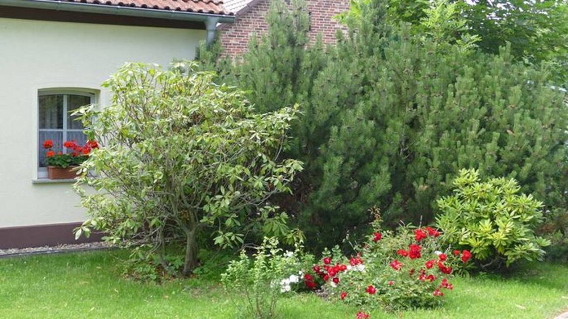 100 M² Casa ∙ 4 Habitaciones ∙ 8 Huéspedes - Bad Saarow