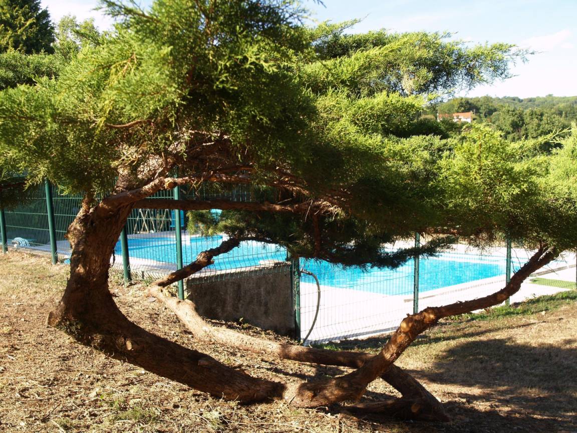 80 M² Gîte ∙ 2 Chambres ∙ 4 Personnes - Castres