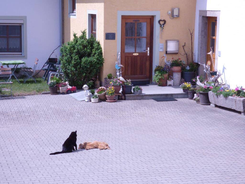 55 M² Ferienwohnung ∙ 2 Schlafzimmer ∙ 4 Gäste - Schorndorf