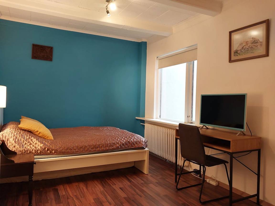 Private Room ∙ 1 Bedroom ∙ 1 Guest - Reykjavík