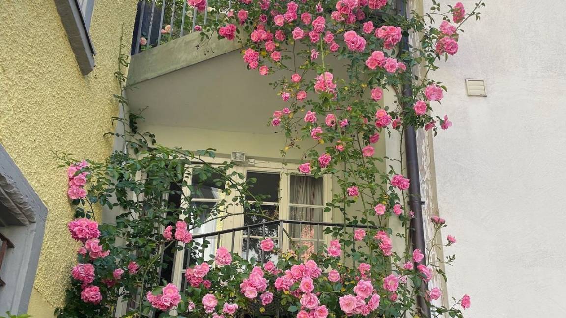 80 M² Ferienwohnung ∙ 1 Schlafzimmer ∙ 4 Gäste - Lindau (Bodensee)