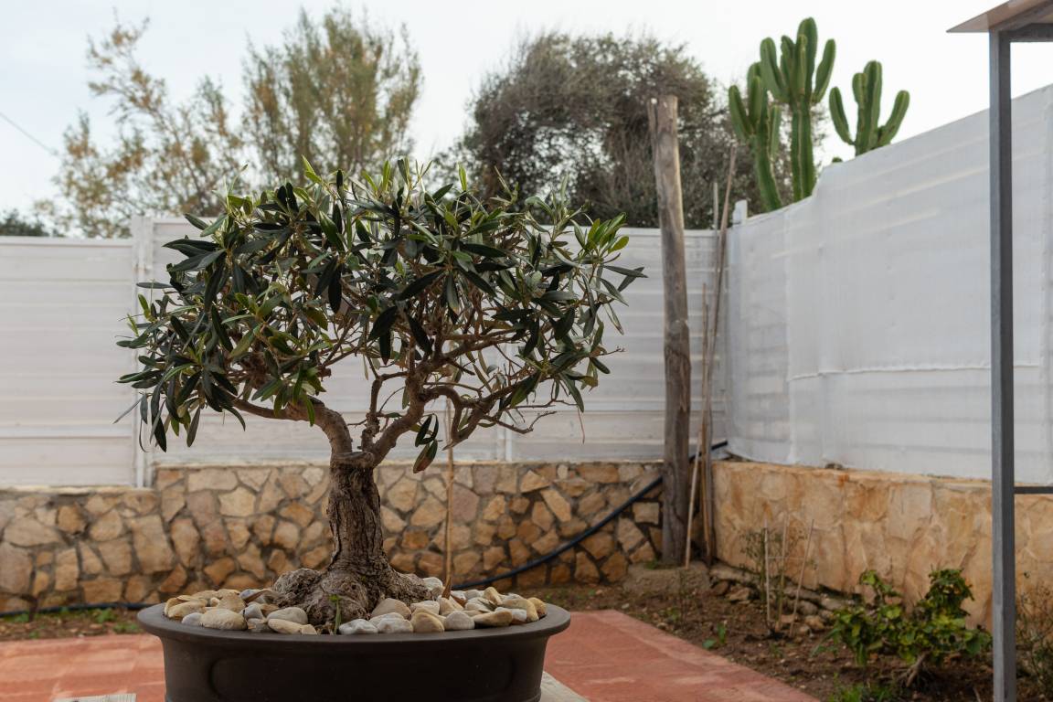 50 M² Huis ∙ 2 Slaapkamers ∙ 8 Gasten - Mola di Bari