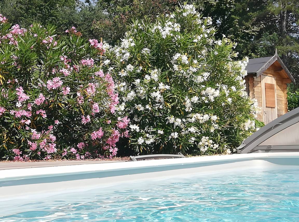 18 M² Studio ∙ 2 Personnes - Largentière