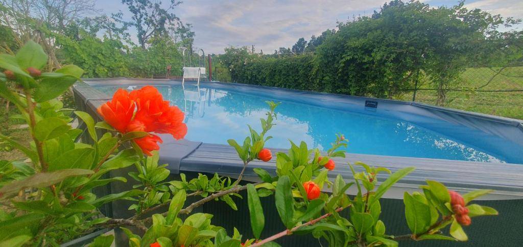 350 M² Villa Vacanza ∙ 4 Camere Da Letto ∙ 10 Ospiti - Emilia-Romagna