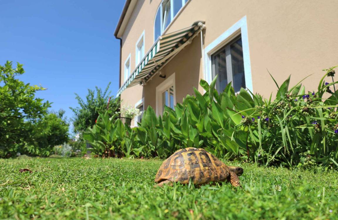 50 M² Apartment ∙ 2 Bedrooms ∙ 5 Guests - Umag