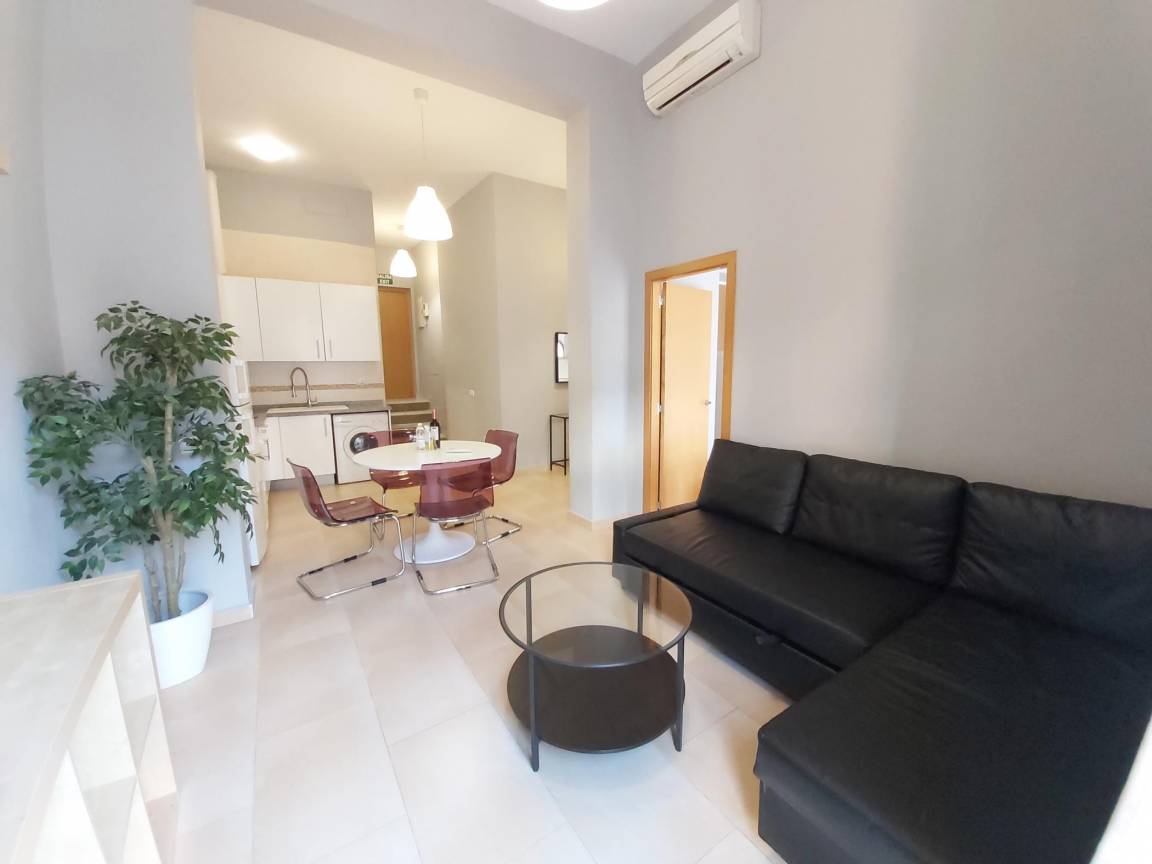 68 M² Apartment ∙ 1 Bedroom ∙ 4 Guests - Málaga-Costa del Sol Airport (AGP)