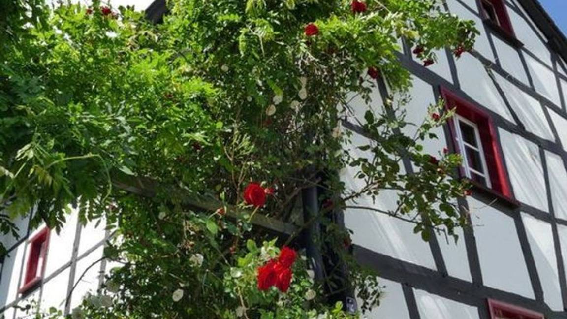 170 M² Maison De Vacances ∙ 3 Chambres ∙ 8 Personnes - Heimbach