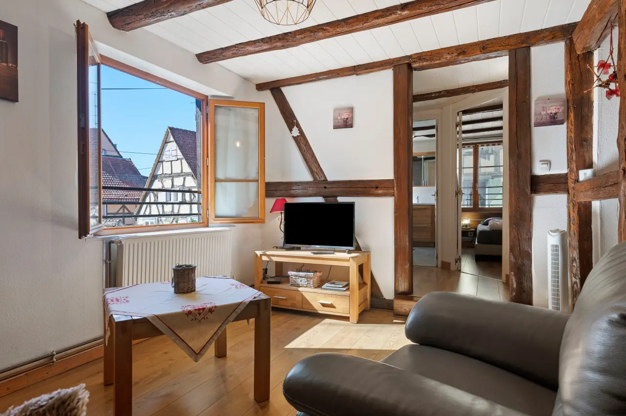 65 M² Apartment ∙ 2 Bedrooms ∙ 5 Guests - Colmar