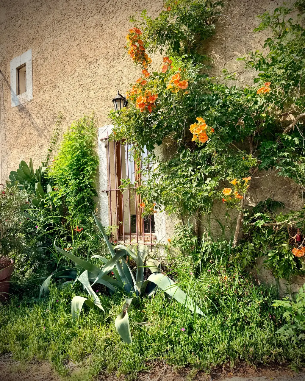 100 M² Maison De Vacances ∙ 3 Chambres ∙ 6 Personnes - Béziers