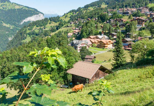 70 M² Ferienwohnung ∙ 2 Schlafzimmer ∙ 4 Gäste - Mürren