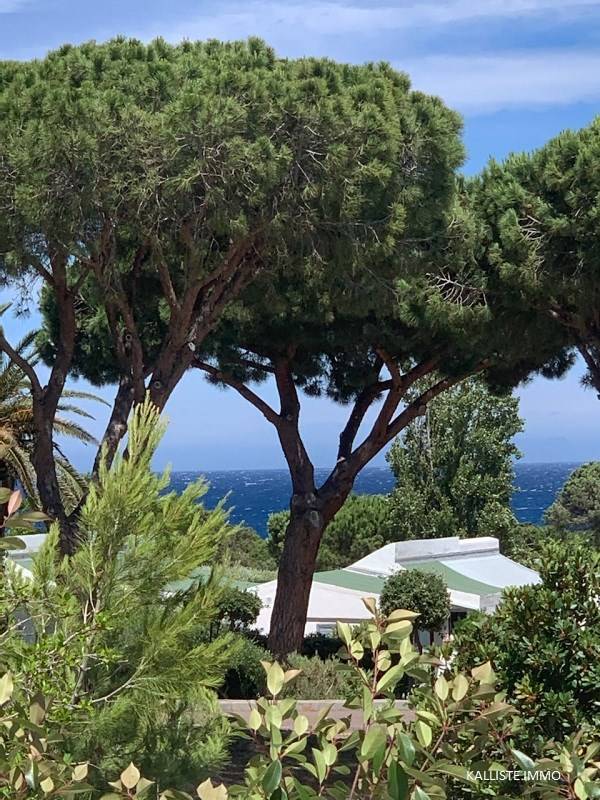 100 M² Maison De Vacances ∙ 3 Chambres ∙ 6 Personnes - Calvi