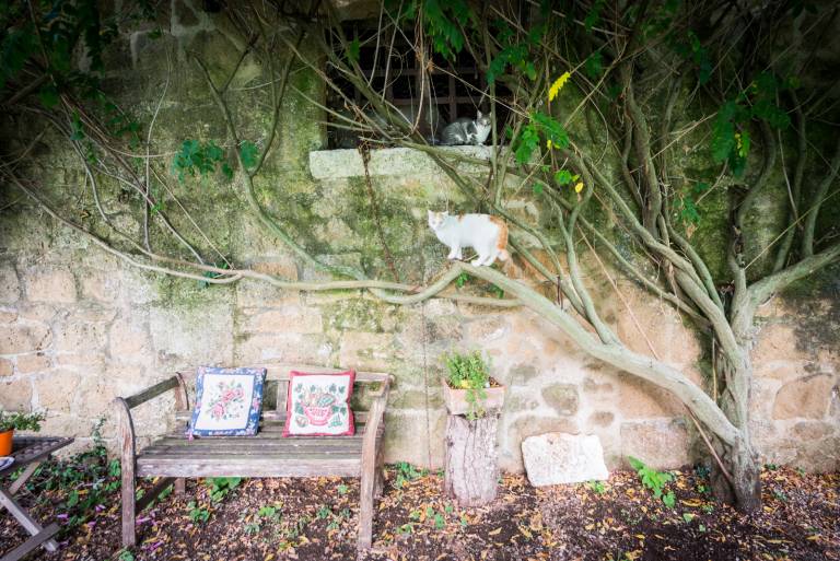 Agriturismo Borgo Rinascimento - Provincia di Viterbo