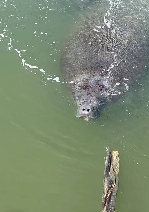 98 M² Bungalow ∙ 2 Schlafzimmer ∙ 6 Gäste - Florida